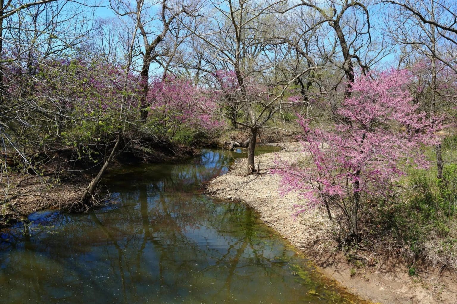 Home | Kansas Wildscape Foundation